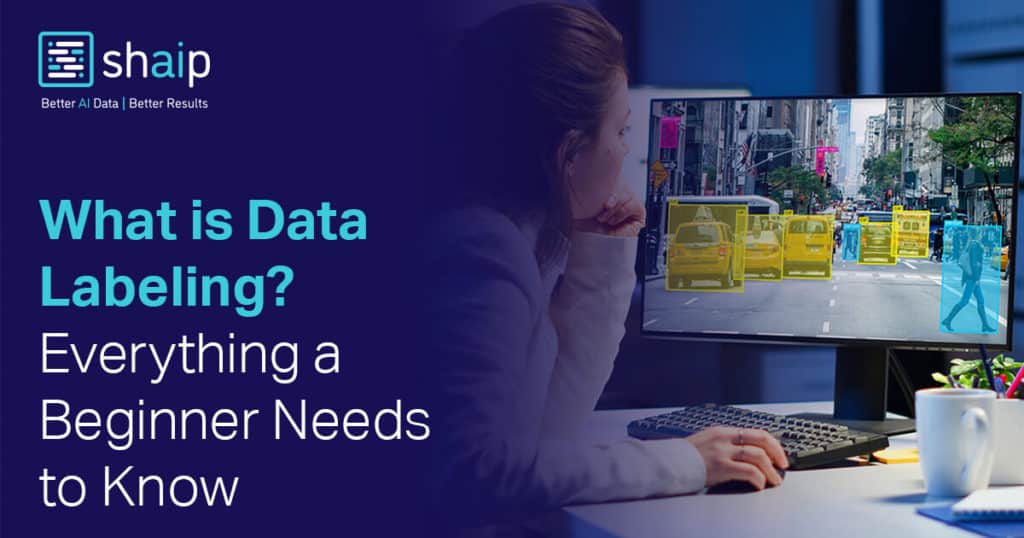 医疗数据注释 | 医疗保健注释 - Shaip