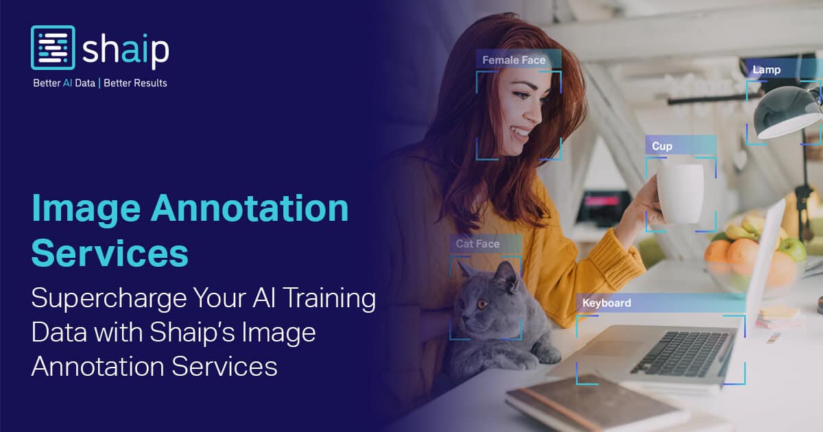 Most Trusted Image Annotation Services | Image Labeling For ML