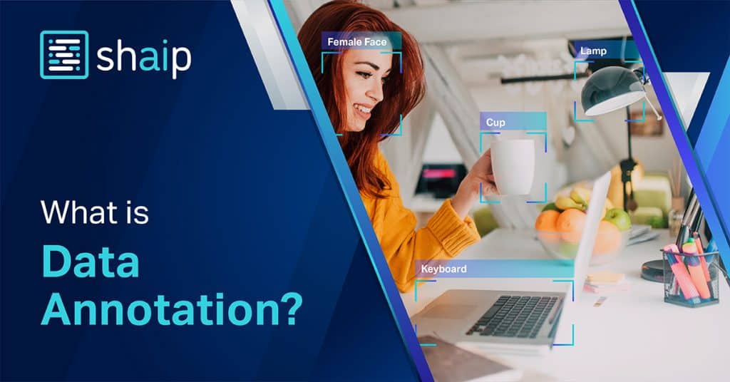 What is Data Annotation: A Basic to Advanced Guide for 2025